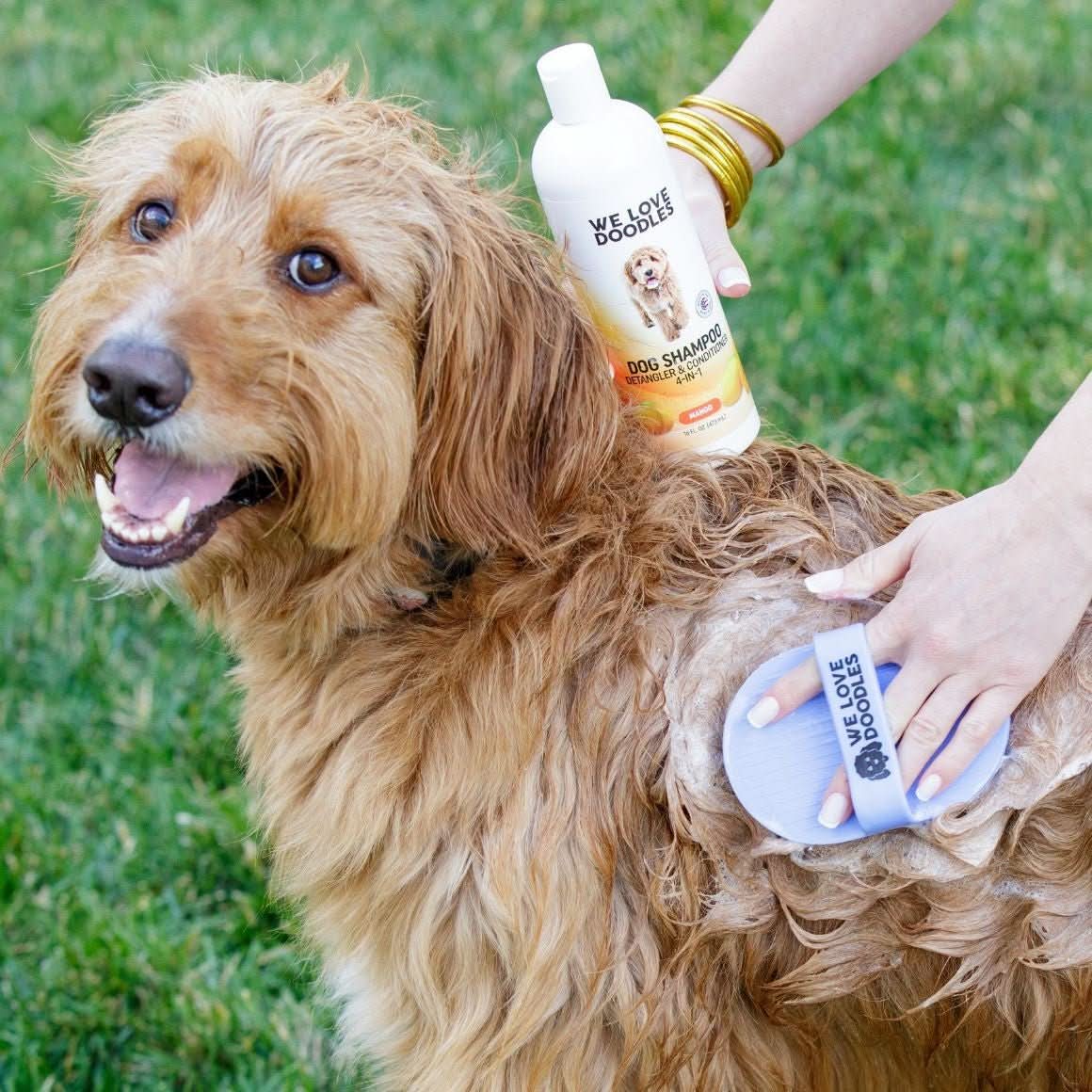 Dog Shampoo Mango Scent | 4-in-1 Natural Formula – 16oz – We Love Doodles