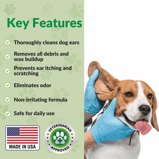 Dog Ear Wash | Natural Cleaning Solution for Fresh Ears – We Love Doodles